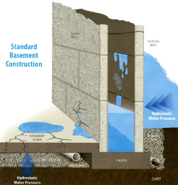 Water Infiltration: Comprehensive Solutions for Your Home - Seagate ...